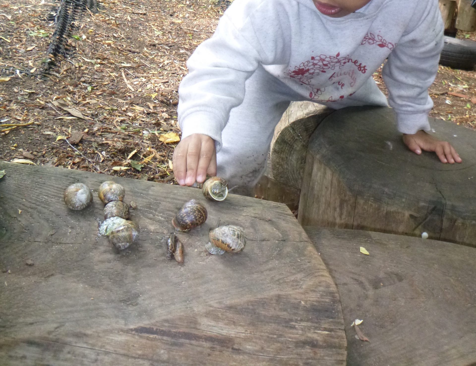 Nursery Life - Cashmore Early Years Bristol