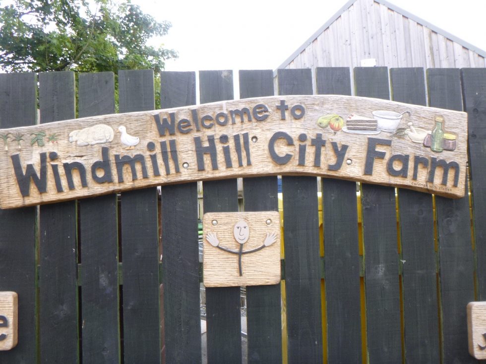 Windmill Hill City Farm visit 2023 - Cashmore Early Years Bristol