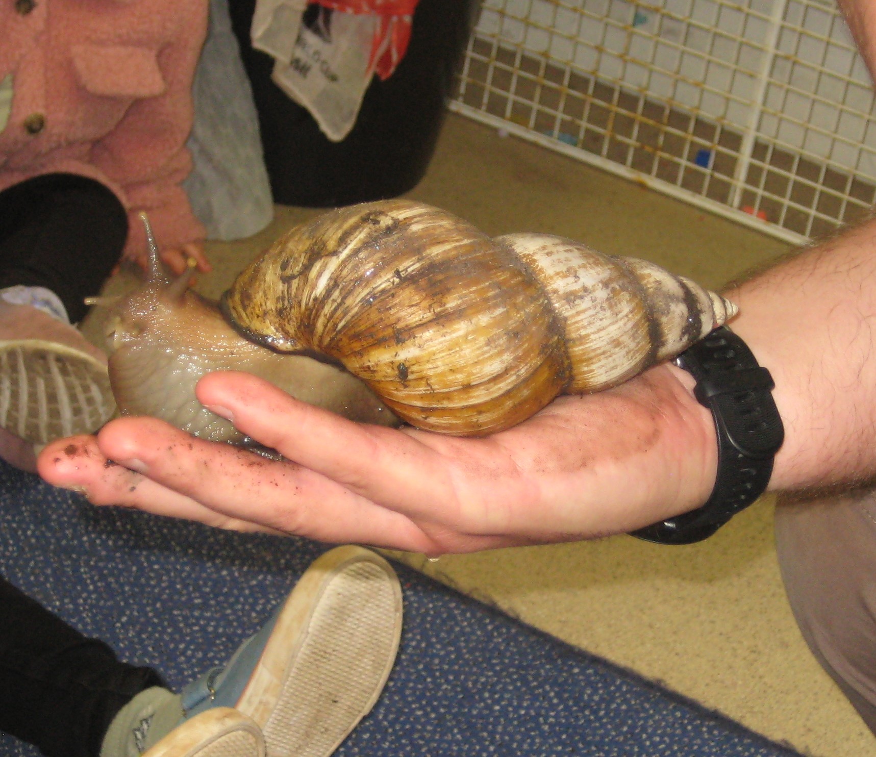 Zoolab visit 2024 - Cashmore Early Years Bristol